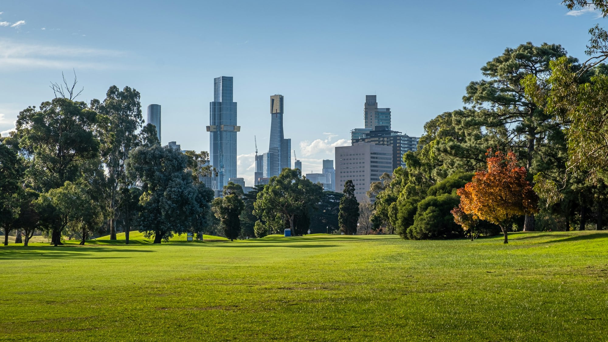 Refer a Patient | A/Prof Sujie